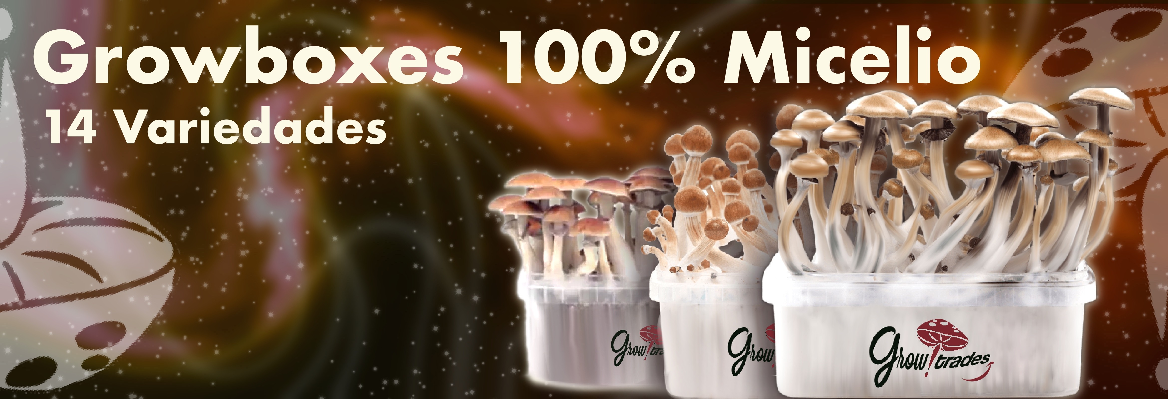 Growtrades - Envíos en 24-48H - Trufas mágicas y kits de cultivo de setas alucinógenas - Growtrades